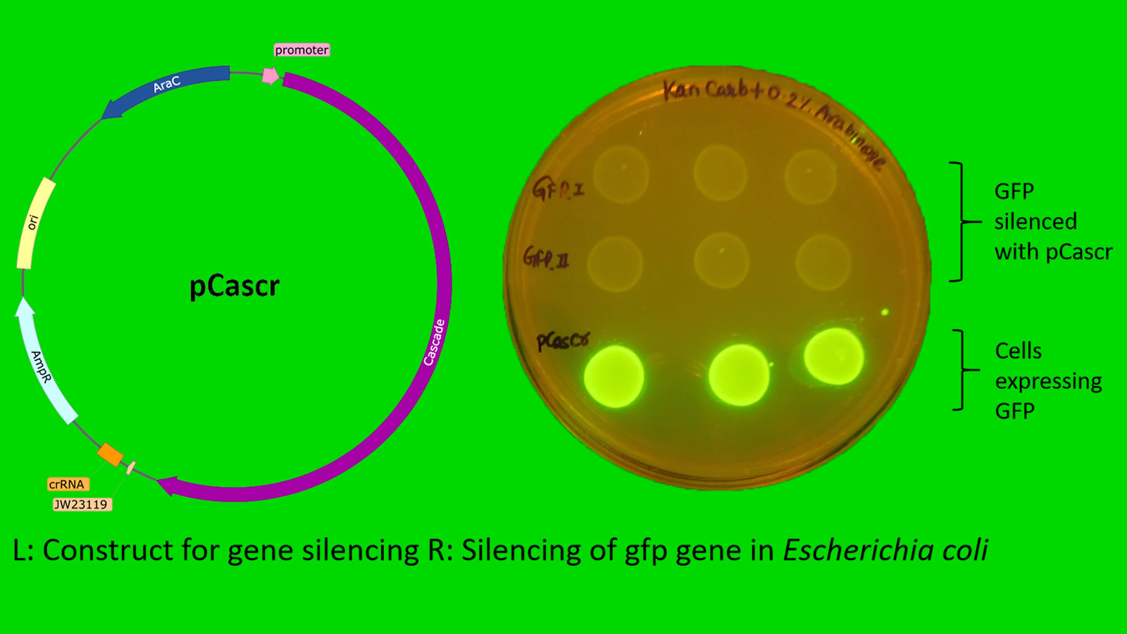 Bhabha Atomic Research Centre ( BARC ), Department of Atomic Energy ...